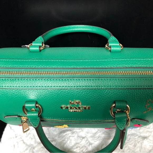 Coach | Bags | New Coach Rowan Diary Embroidery Leather Satchel Bag In ...